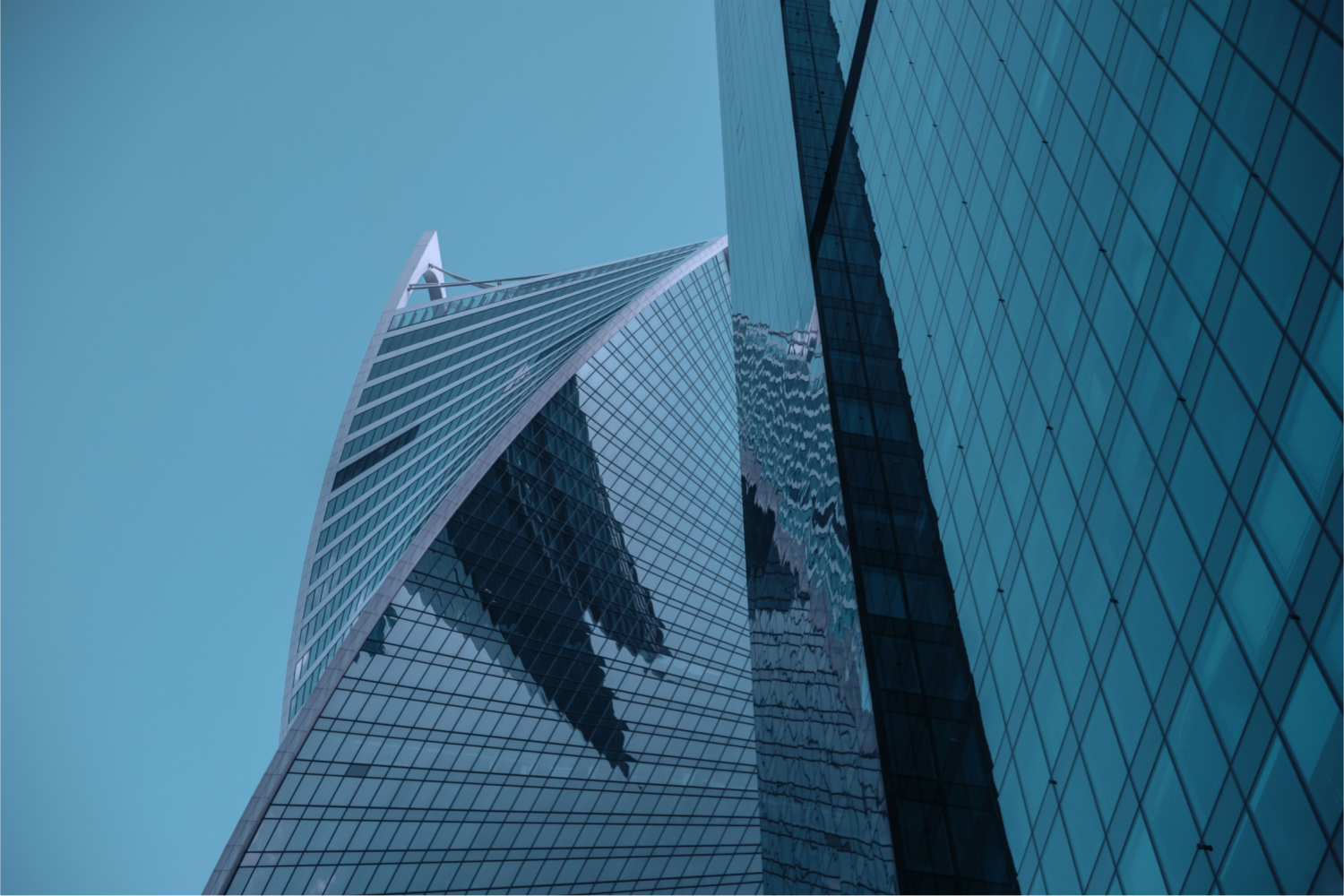 Corporate Marketing Case Studies | WiT Group Agency